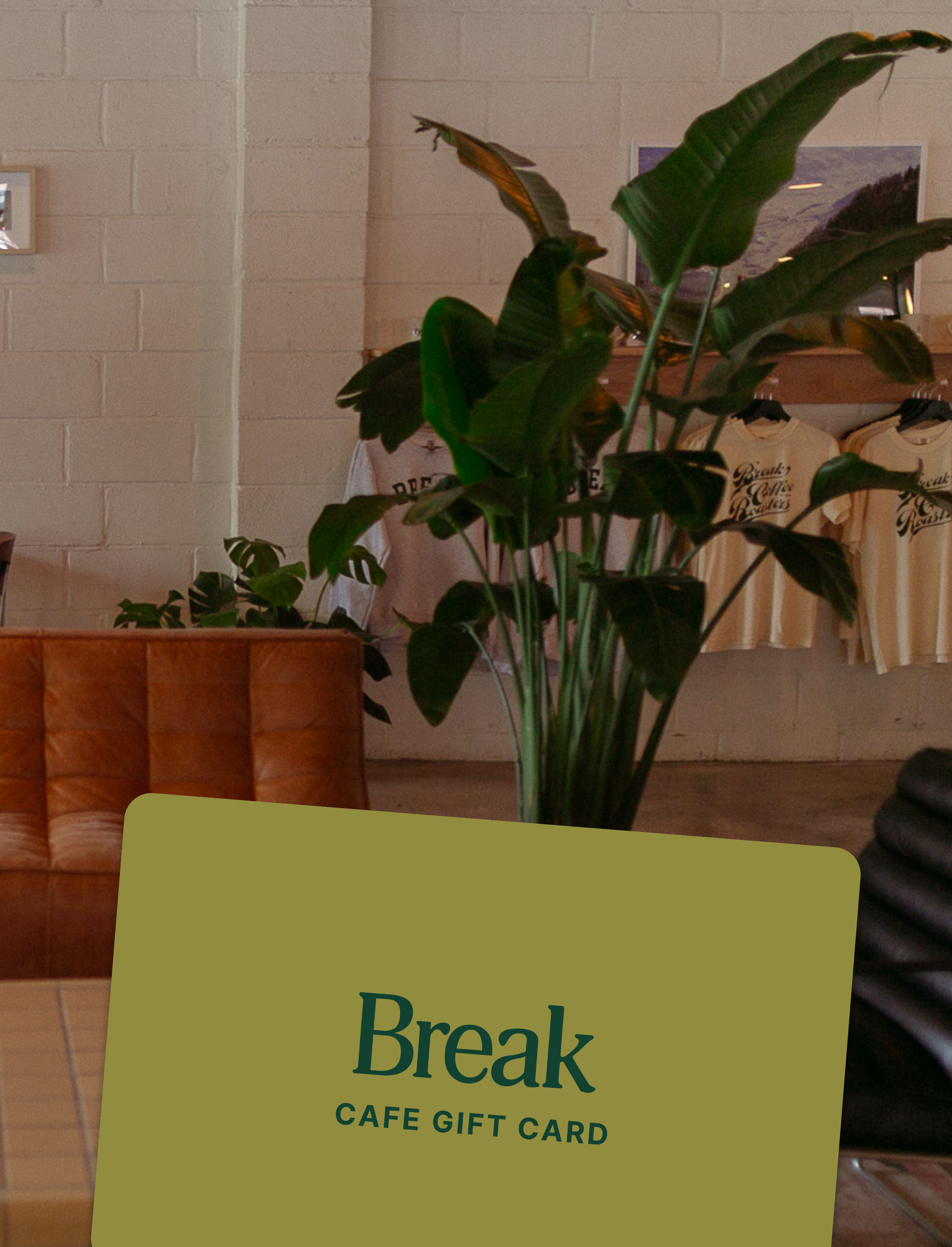 Break Coffee Roasters | Fresh, Small-Batch Coffee in Georgia